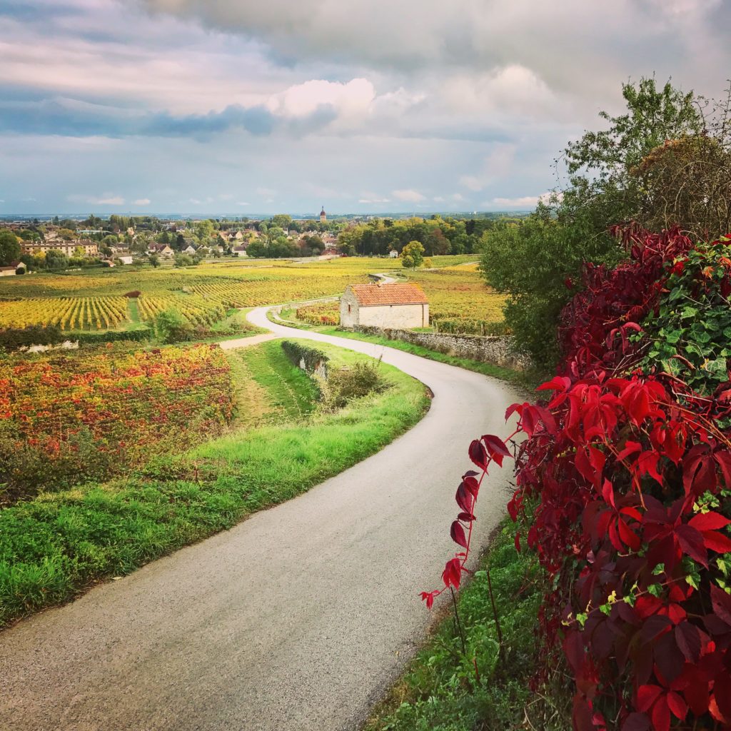 Burgundy Wine School - Burgundy Wine School
